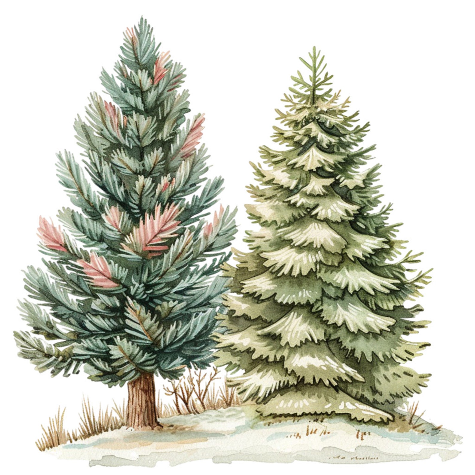 16 Winter Pines Christmas Trees Clipart Bundle, 16 High-quality JPG ...