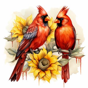 14 Cardinal Friends Flowers Clipart Bundle, High-quality JPG ...