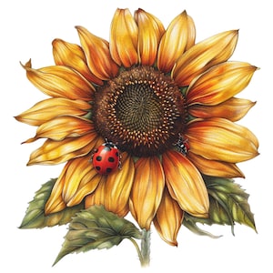 Sunflower With Ladybug Clipart Bundle, 16 High-quality JPG, Craft Art ...
