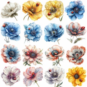 Ladybug on Flowers Clipart Bundle, 16 High-quality JPG, Craft Art, Card ...