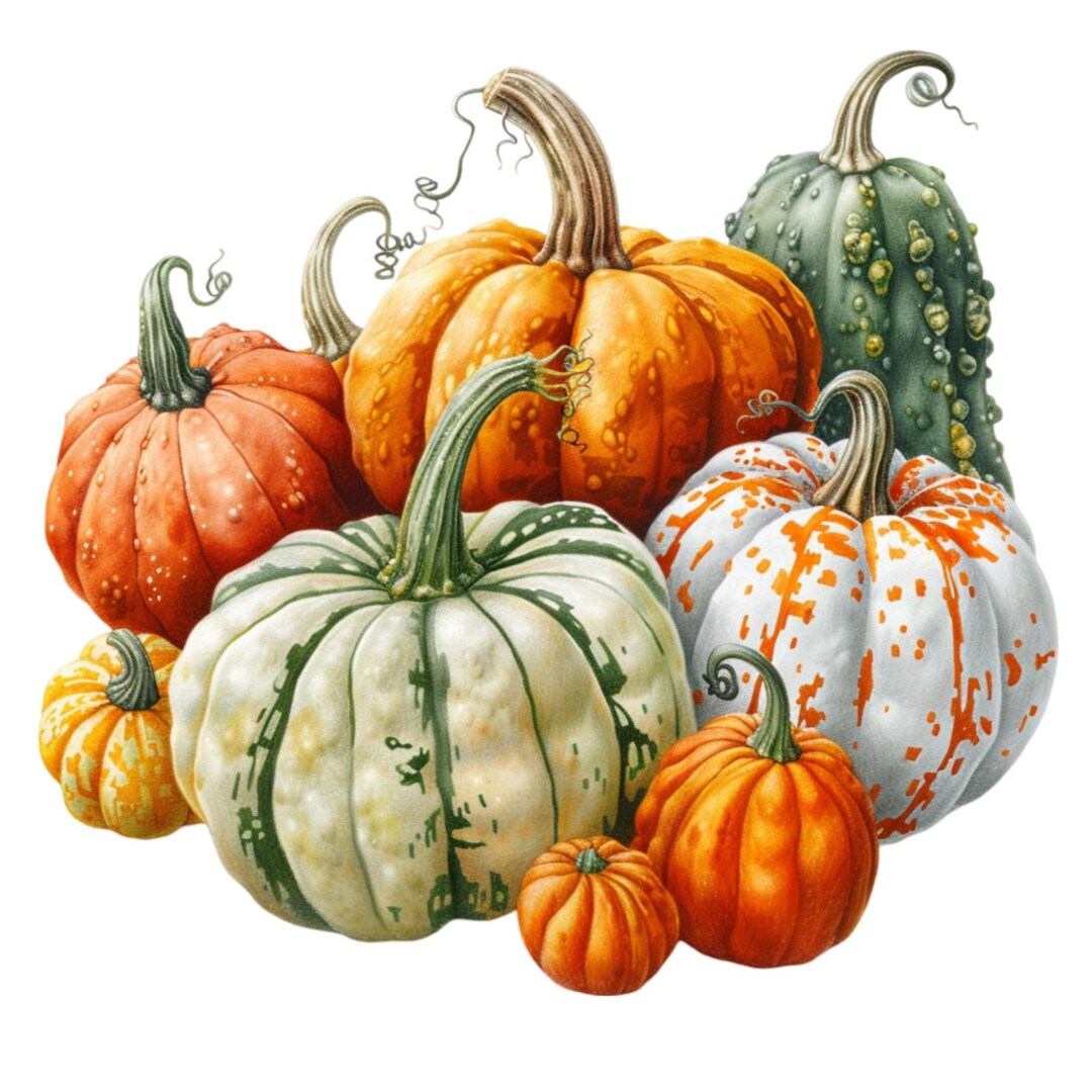 Gourds and Pumpkins Clipart Bundle, 16 High-quality JPG, Craft Art ...