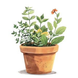Herbs in Pots Clipart Bundle, 16 High-quality JPG, Craft Art, Card ...
