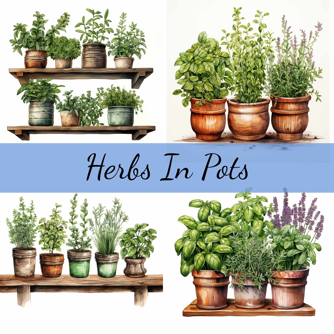 16 Herbs in Pots Clipart Bundle, High-quality JPG, Craft Art, Card ...