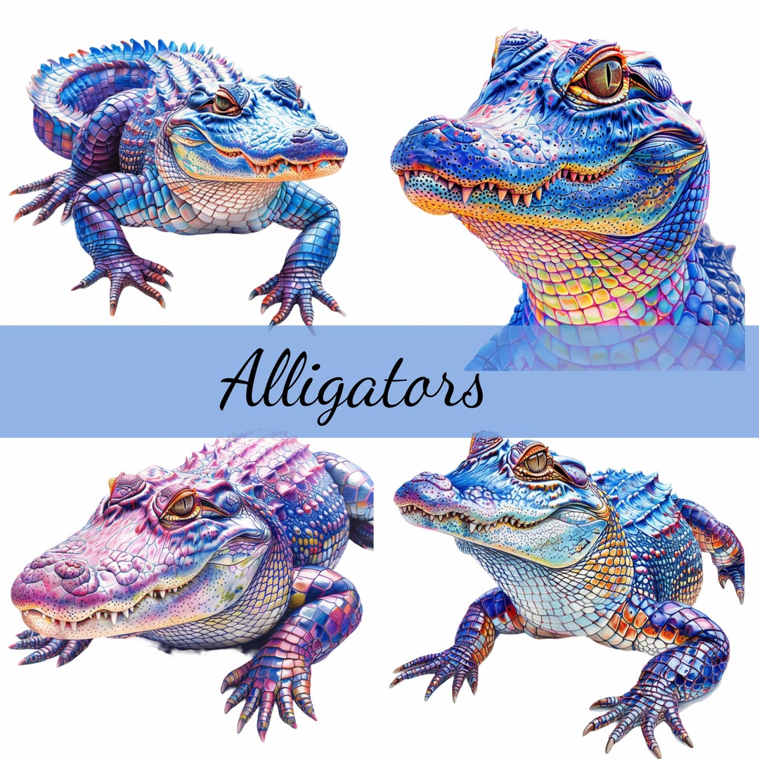 16 Colorful Alligator Clipart Bundle, 16 High-quality JPG, Craft Art ...