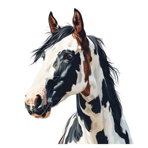 16 Paint Horse Clipart Bundle, 16 High-quality JPG, Craft Art, Card ...