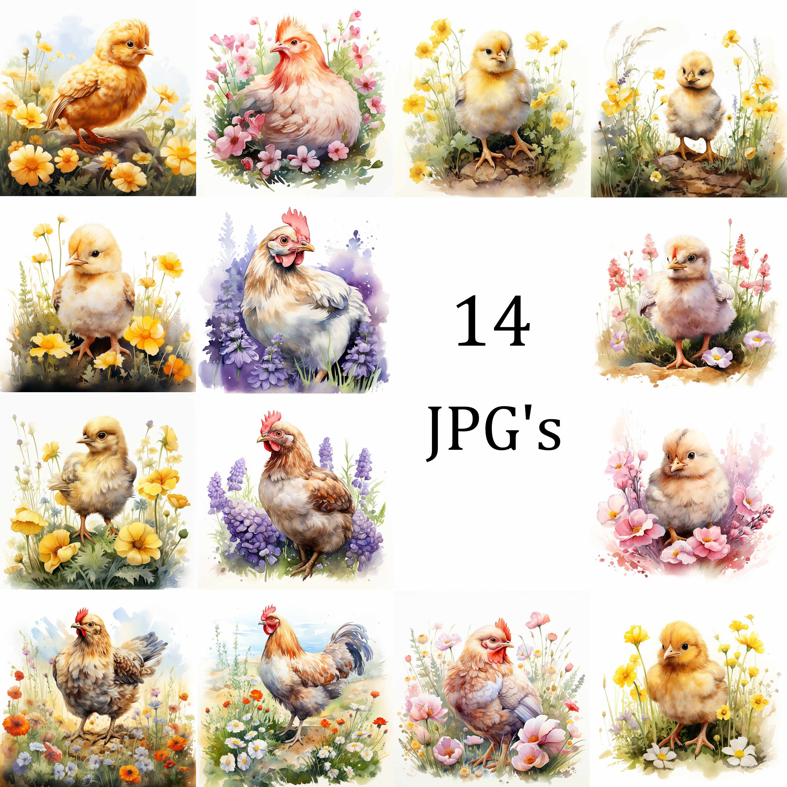 14 Chicks and Chickens Clipart Bundle, High-quality JPG, Invitations ...