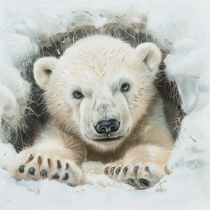 Polar Bear in Snow Den Clipart Bundle, 16 High-quality JPG, Craft Art ...