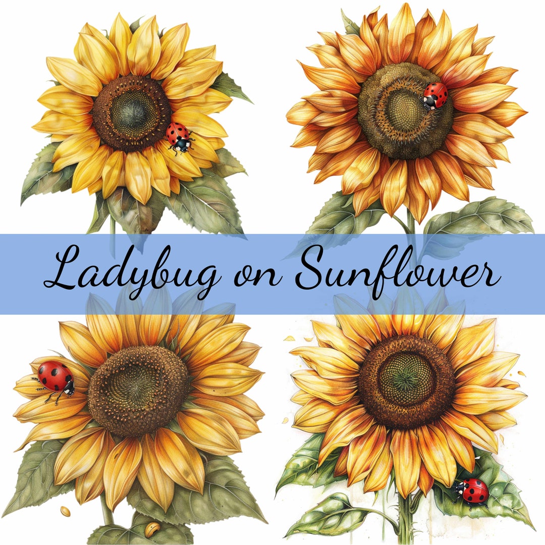 16 Sunflower With Ladybug Clipart Bundle, 16 High-quality JPG, Craft ...