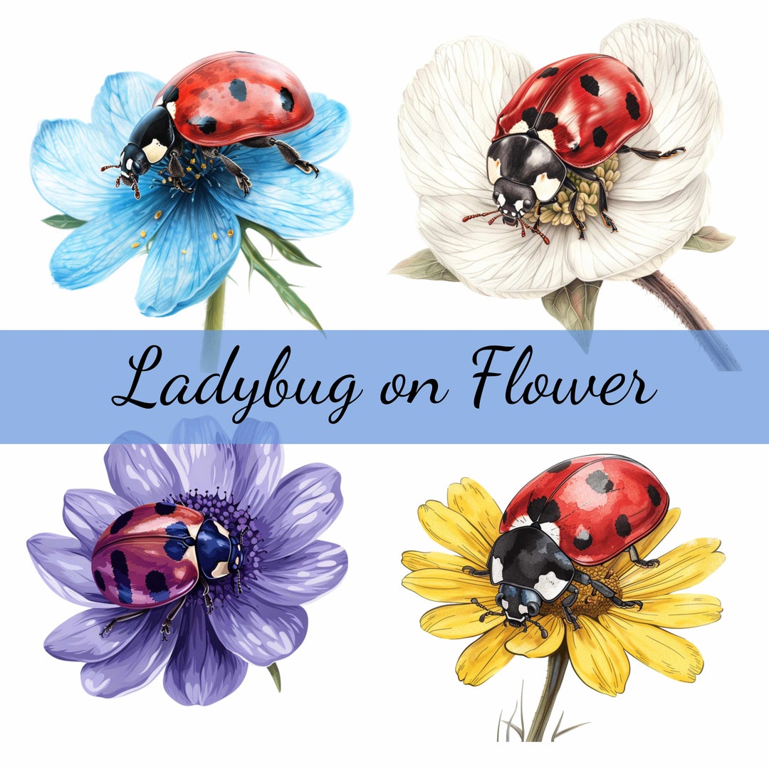 16 Ladybug on Flower Clipart Bundle, 16 High-quality JPG, Craft Art ...