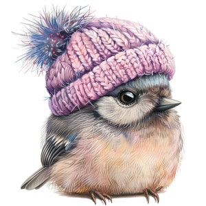 Cute Bird With Knit Hat Clipart Bundle, 16 High-quality JPG, Craft Art ...