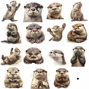 Playful Otter Clipart Bundle, 15 High-quality JPG, Craft Art, Card ...