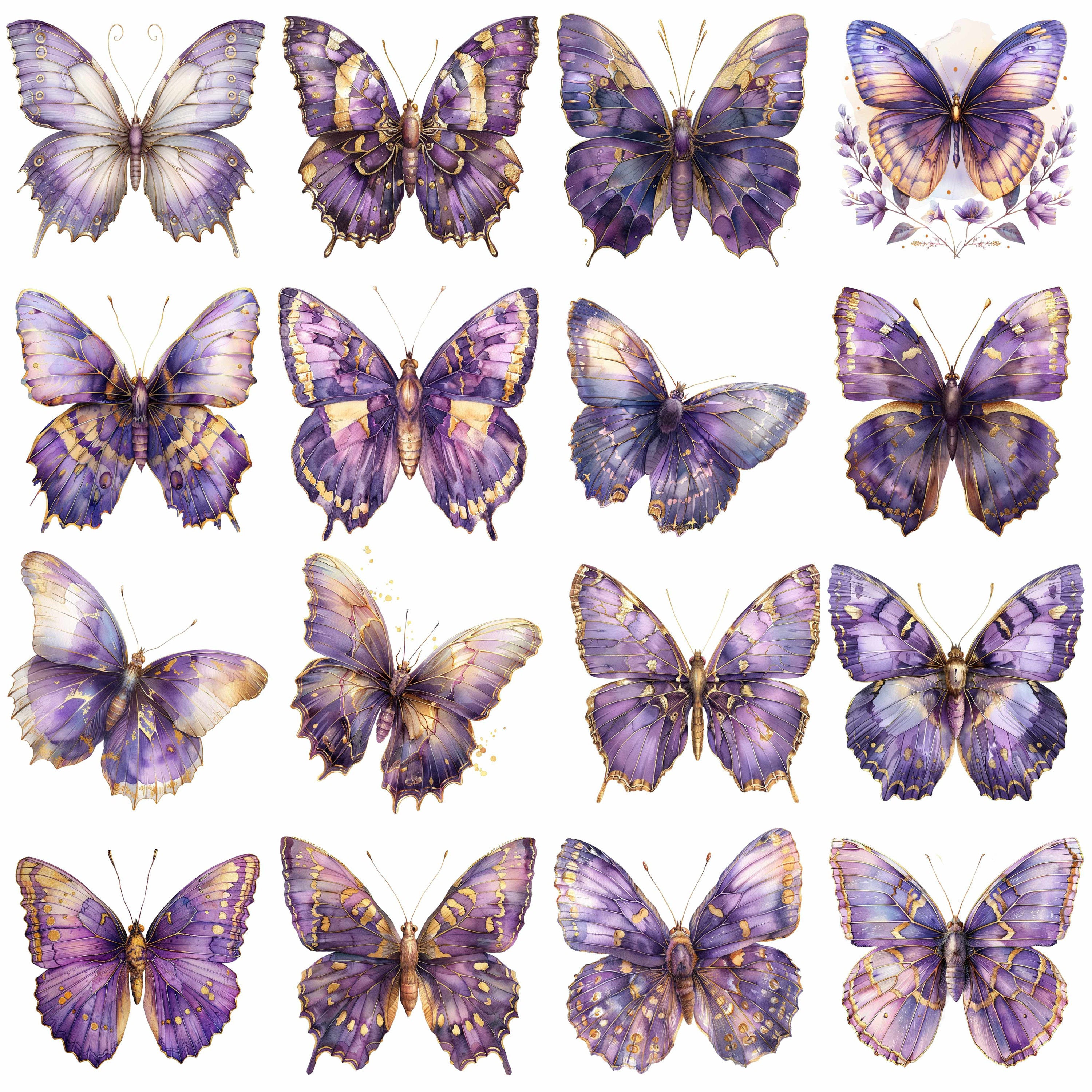 16 Purple and Gold Butterfly Clipart Bundle, 16 High-quality JPG, Craft ...
