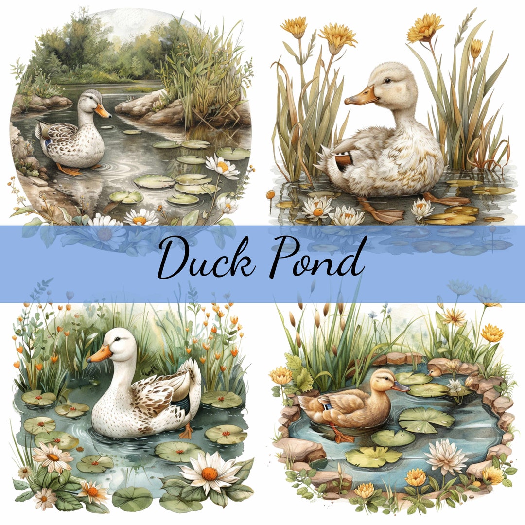 15 Duck in a Pond 2 Clipart Bundle, 15 High-quality JPG, Craft Art ...