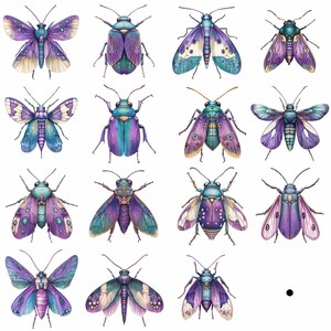 Purple Teal Blue Insect Clipart Bundle, 15 High-quality JPG, Craft Art ...