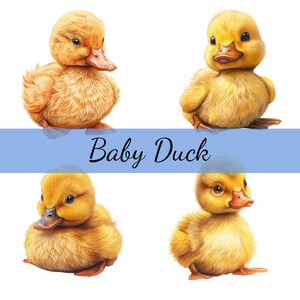 Cute Yellow Duck Clipart Bundle, 15 High-quality JPG and PNG, Craft Art ...