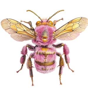 16 Bee Pink Gold and Fuzzy Clipart Bundle, 16 High-quality JPG, Craft ...