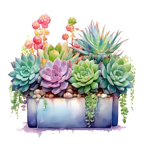 14 Succulents in Pots Clipart Bundle, High-quality JPG, Invitations ...