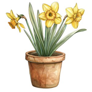 Daffodil in Flower Pot Clipart Bundle, 16 High-quality JPG, Craft Art ...