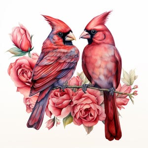 14 Cardinal Friends Flowers Clipart Bundle, High-quality JPG ...