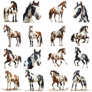 16 Paint Horse Clipart Bundle, 16 High-quality JPG, Craft Art, Card ...