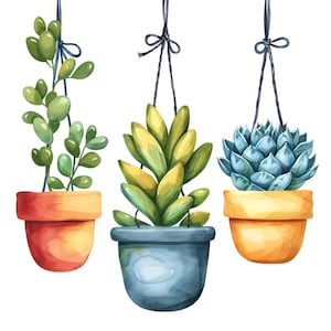 Succulents in Hanging Pots Clipart Bundle, 16 High-quality JPG, Craft ...