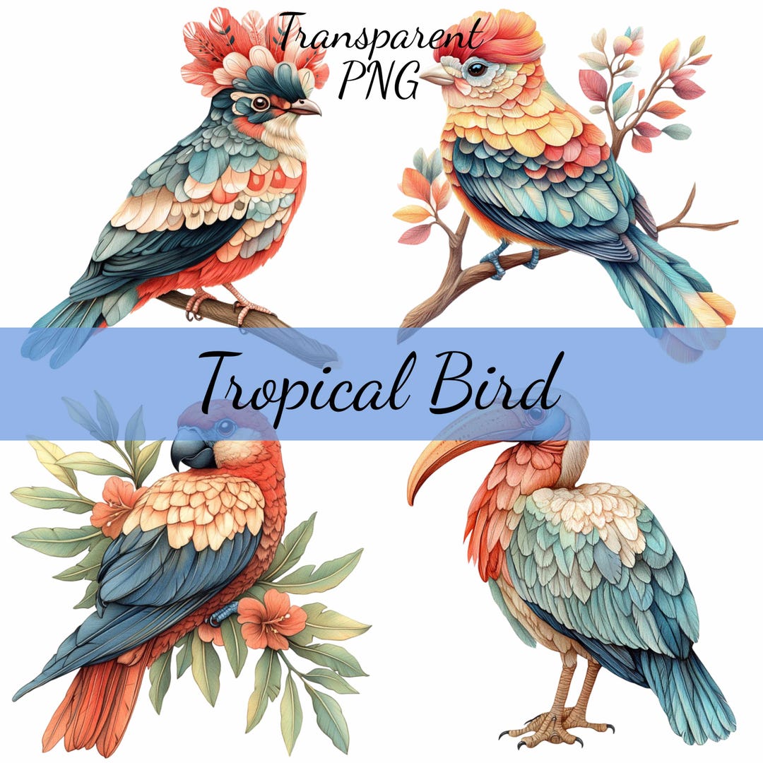 Folk Art Tropical Bird Clipart Bundle, 15 Transparent PNG Download ...