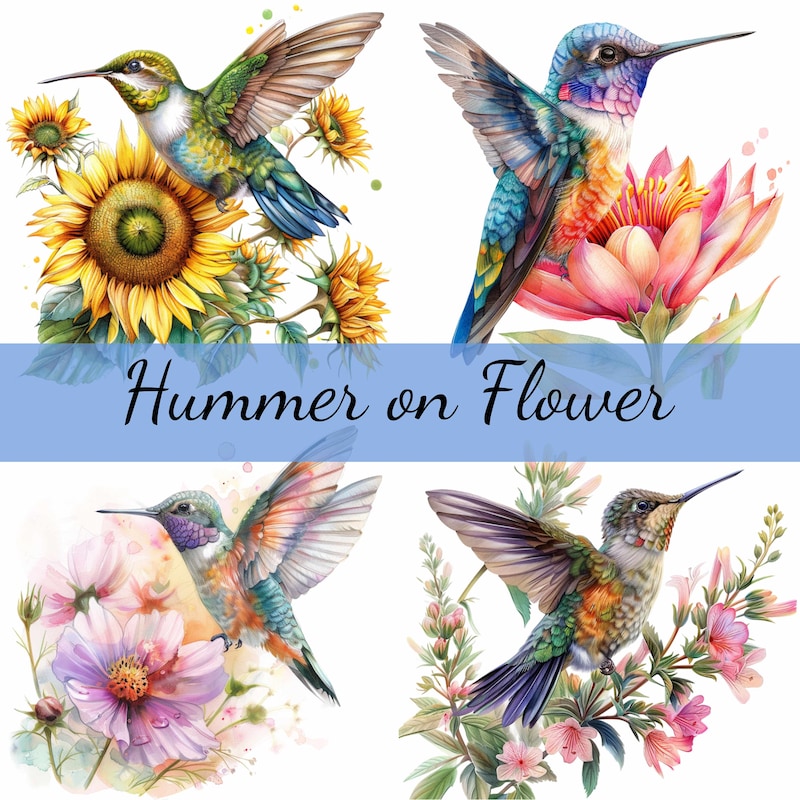 Hummingbird Sunflower Clipart - Etsy