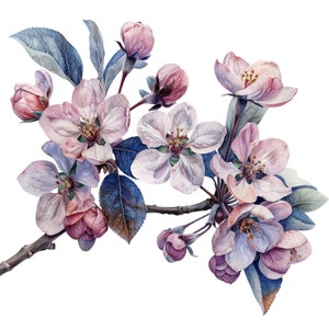 Apple Blossomflowers Clipart Bundle, 16 High-quality JPG, Craft Art ...
