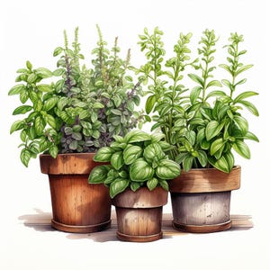 Herbs in Pots Clipart Bundle, High-quality JPG, Craft Art, Card Making ...