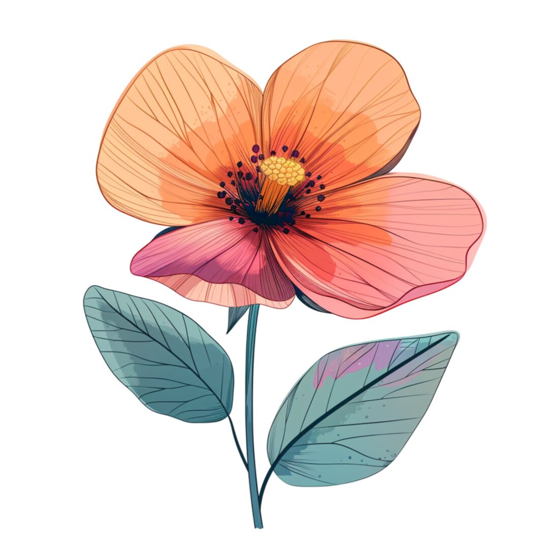 Boho Orange Teal Flowers Clipart Bundle, 16 High-quality JPG, Craft Art ...