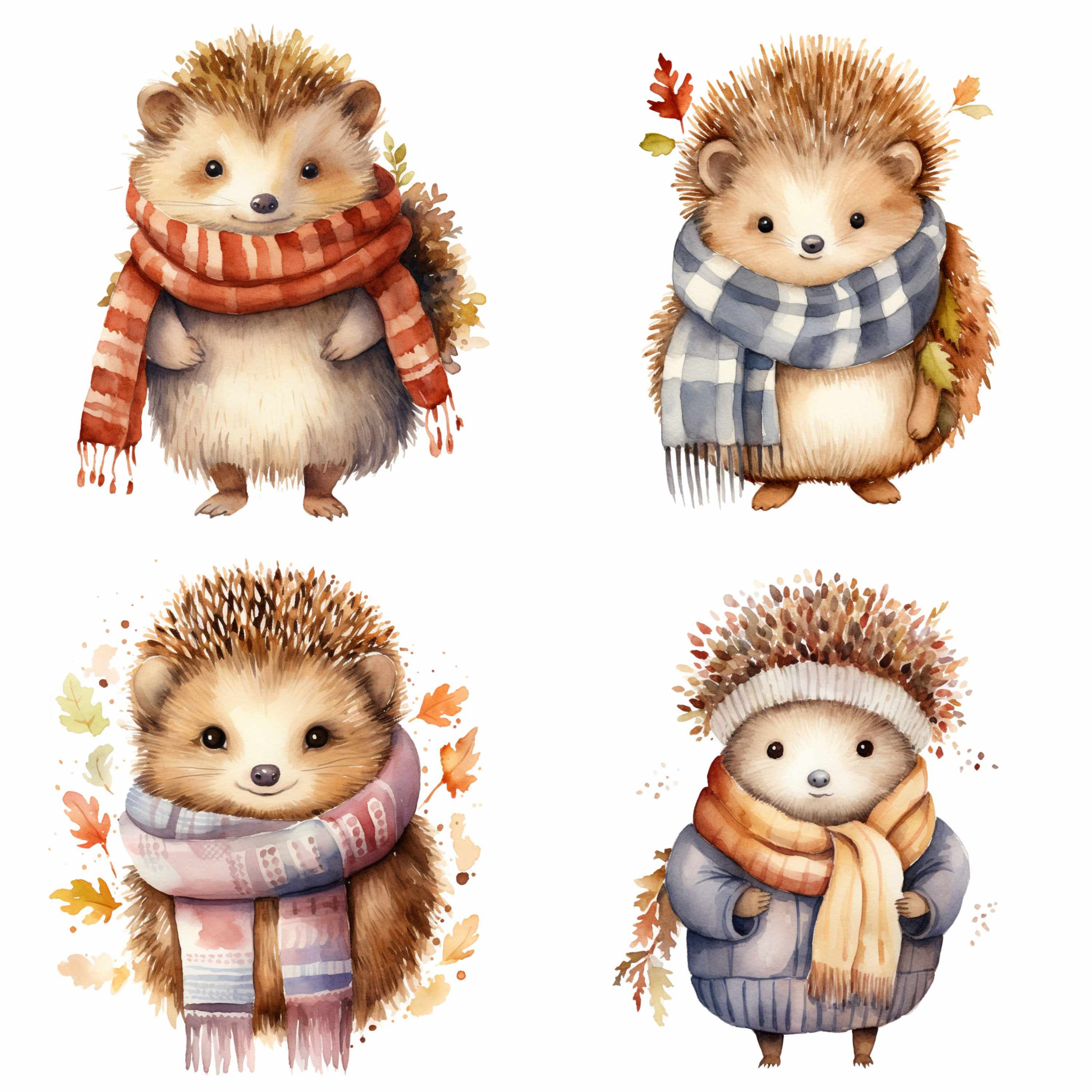 12 Boho Winter Hedgehog Clipart Bundle, High-quality JPG, Nursery Art ...