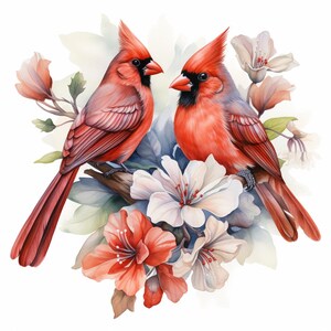 14 Cardinal Friends Flowers Clipart Bundle, High-quality JPG ...