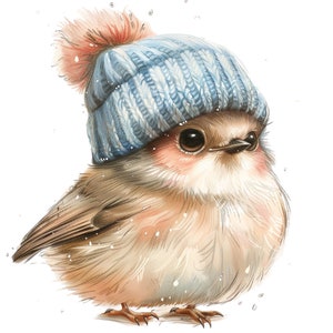 Cute Bird With Knit Hat Clipart Bundle, 16 High-quality JPG, Craft Art ...