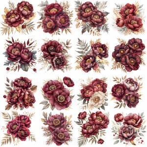 Burgundy Peony Flowers Wedding Clipart Bundle, 16 High-quality JPG ...