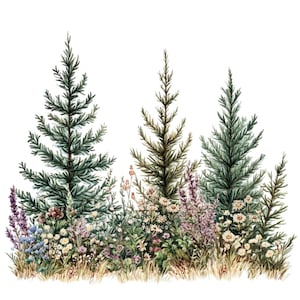 16 Pine Tree Border Frame Corner Clipart Bundle 16 Transparent PNG ...