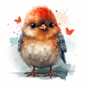 16 Valentine Robin Bird Clipart Bundle, High-quality JPG, Craft Art ...