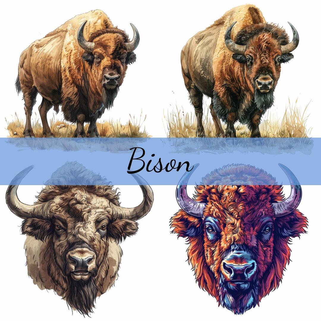 15 Bison Buffalo Clipart Bundle, 15 High-quality JPG, Craft Art, Card ...