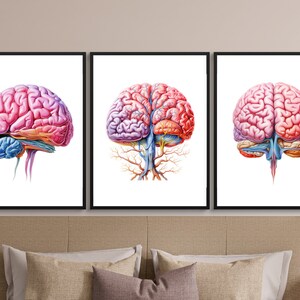 Pastel Anatomical Brain Clipart Bundle, High-quality JPG, Craft Art ...