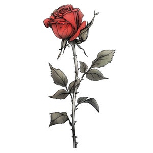 Red Rose Stem Clipart Bundle, 16 High-quality JPG, Craft Art, Card ...