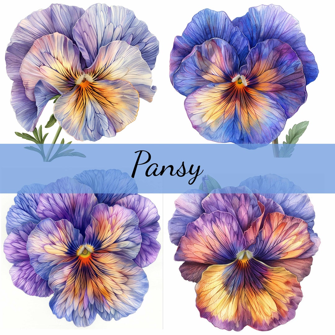15 Pansy Flowers Clipart Bundle, 15 High-quality JPG, Craft Art, Card ...