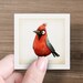 14 Silly Funny Cardinal Bird Clipart Bundle, JPG, Card Making, Clip Art ...
