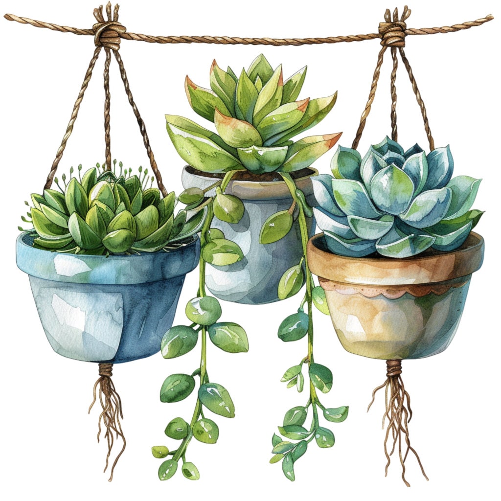 16 Succulents in Hanging Pots Clipart Bundle, 16 High-quality JPG ...