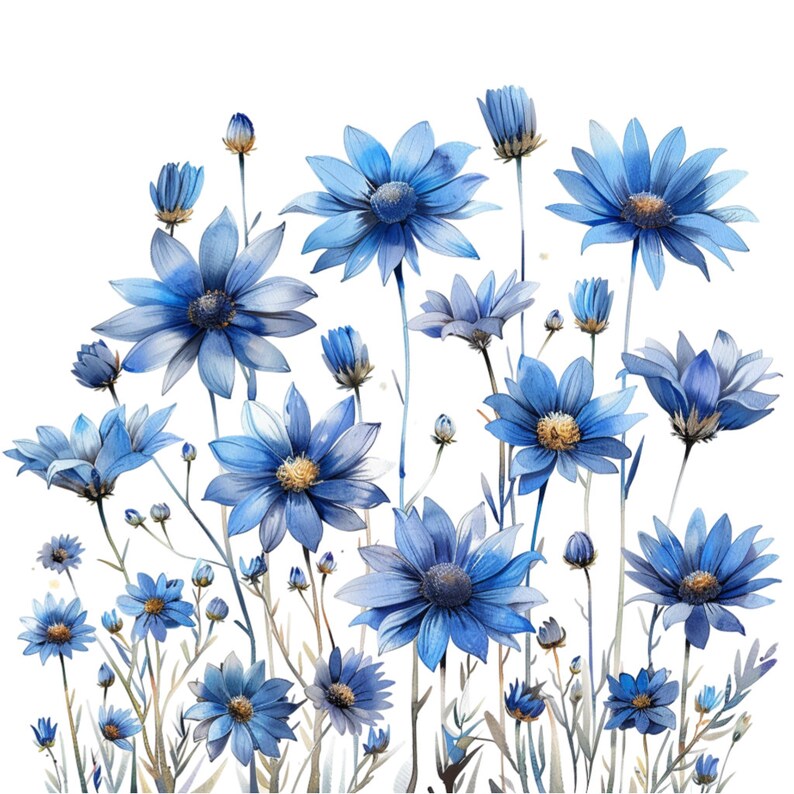 Colorful Daisy Flowers in a Row Clipart Bundle, 16 High-quality JPG ...