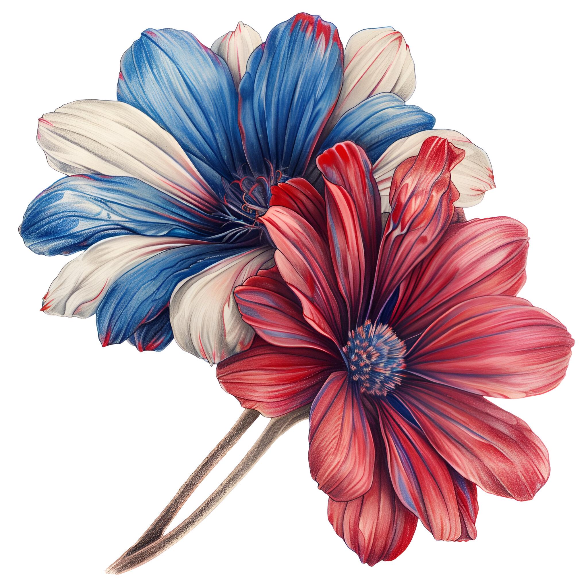 Vibrant 4th Red White Blue Flower Clipart Bundle, 16 High-quality JPG ...