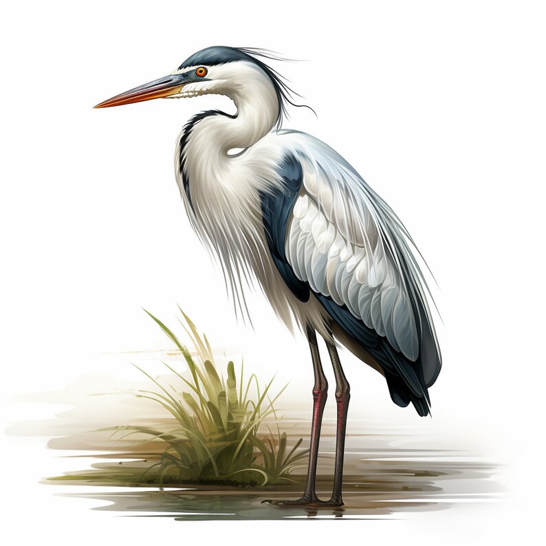 16 Heron at Water Clipart Bundle, High-quality JPG, Craft Art, Card ...