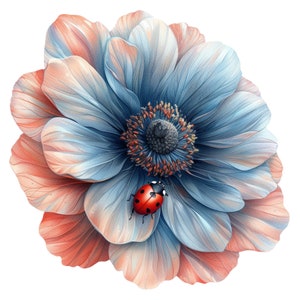 Ladybug on Flowers Clipart Bundle, 16 High-quality JPG, Craft Art, Card ...