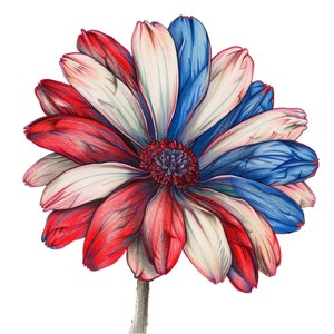 4th Red White Blue Flower Clipart Bundle, 15 High-quality JPG, Craft ...