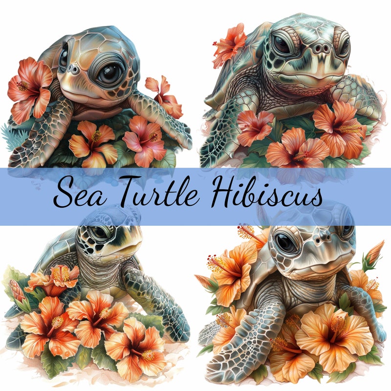 Hibiscus Turtle - Etsy