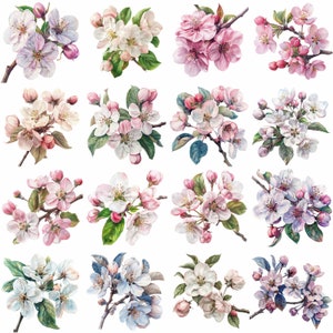 Apple Blossomflowers Clipart Bundle, 16 High-quality JPG, Craft Art ...