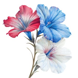 4th Red White Blue Flower Clipart Bundle, 15 High-quality JPG, Craft ...